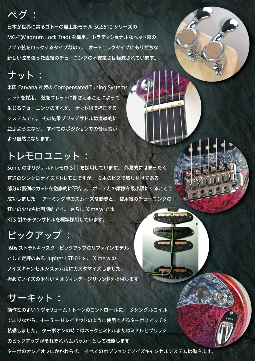 Ximera Arxi Sago New