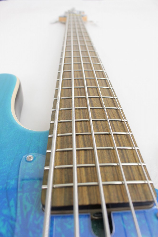 Ximera Arxi Sago New