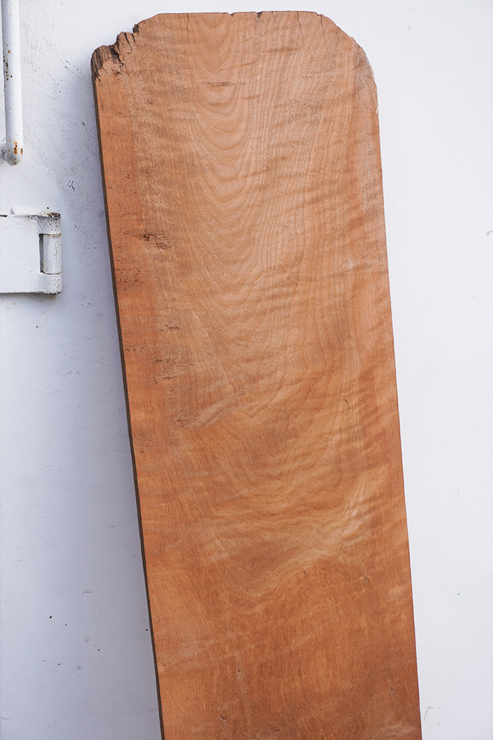 タブ - Machilus thunbergii | Sago New Material Guitars