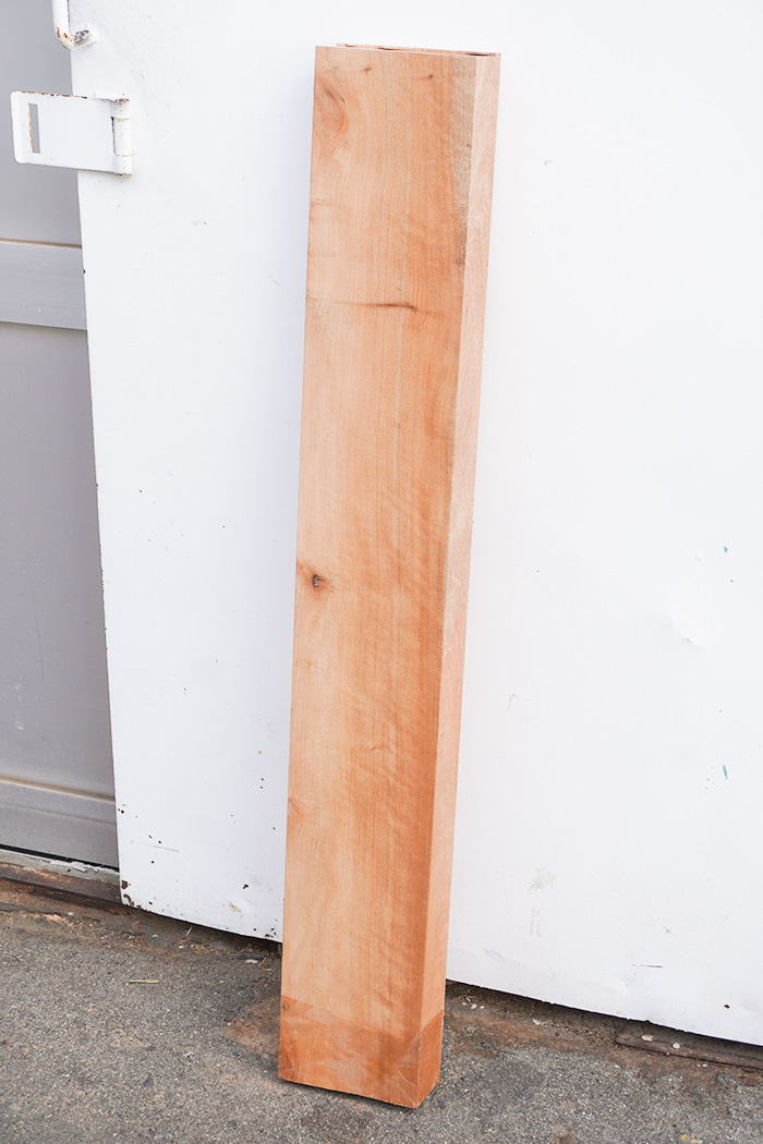 タブ - Machilus thunbergii | Sago New Material Guitars