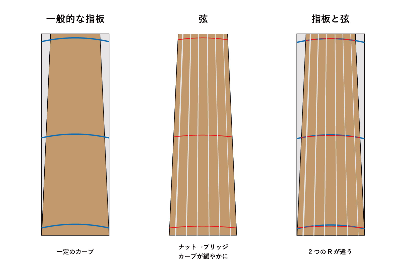 【初心者必見!】指板R(カーブ)について